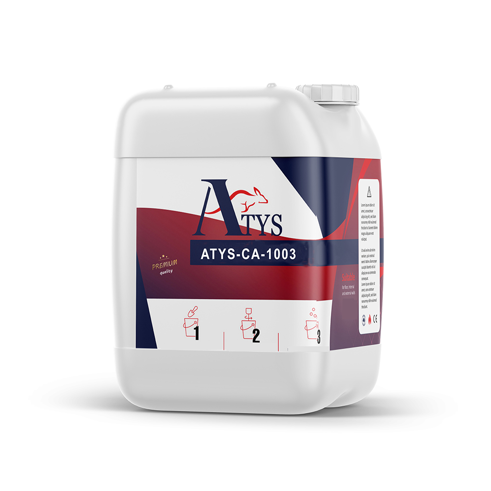 ATYS CA 1003 | Atys company